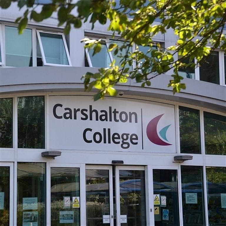 Carshalton College Summer Works | Redlands